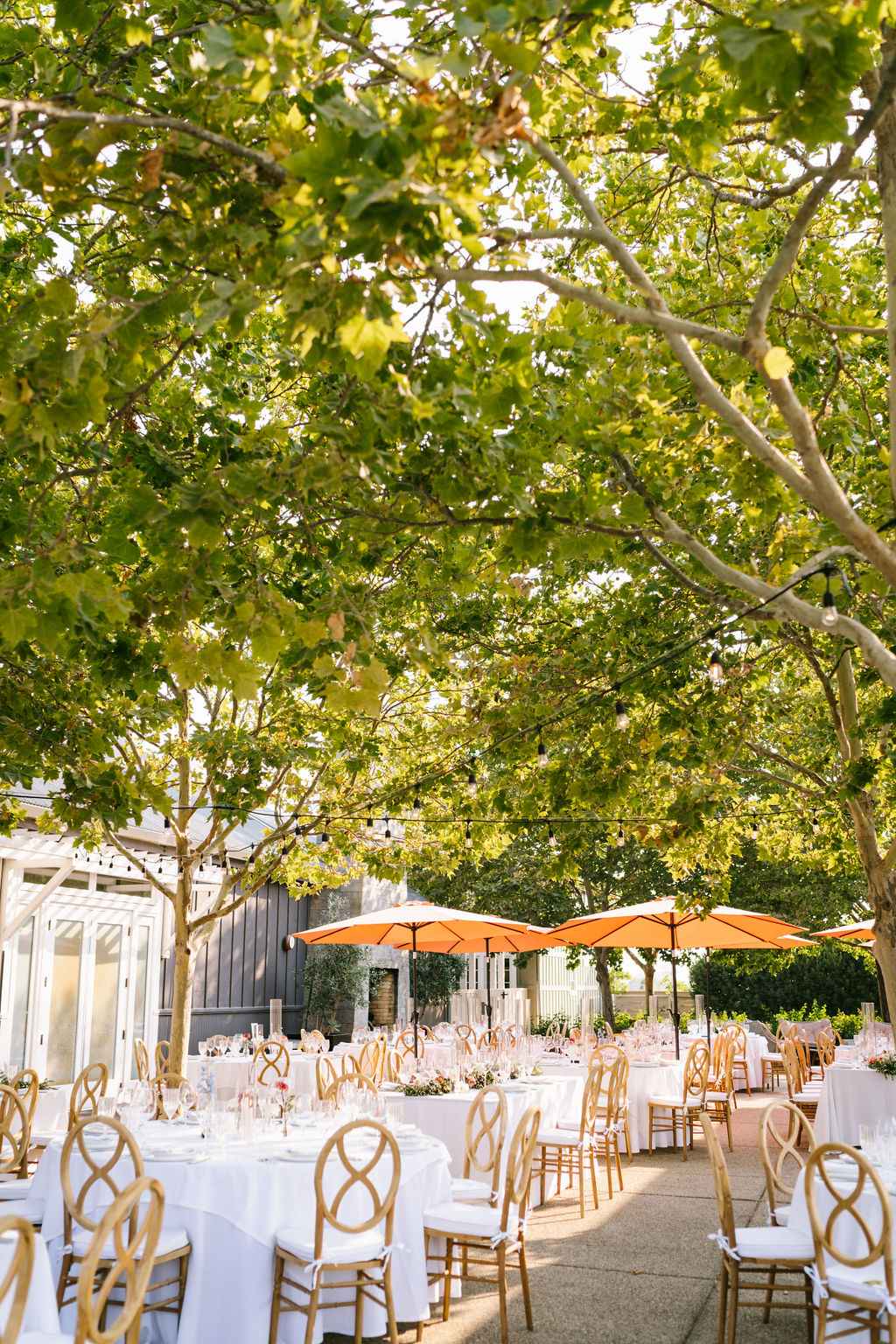 Carneros Resort & Spa: A Luxury Sonoma Wedding Venue - Carly Saber ...