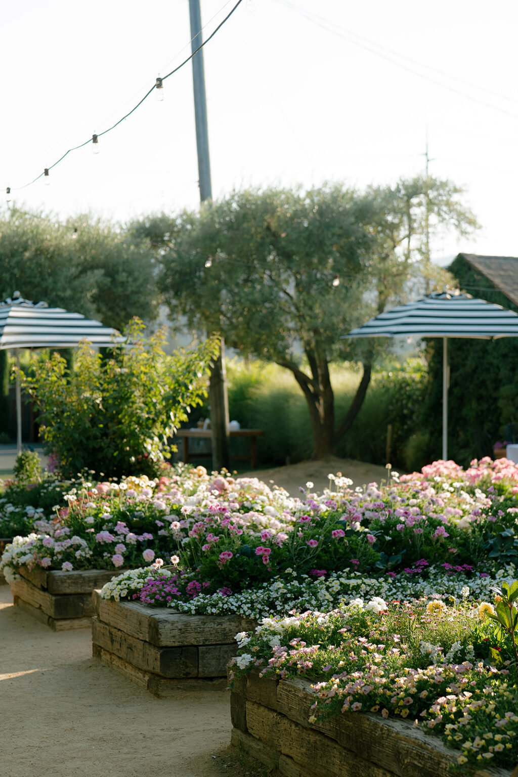 Nikole & Matt’s Romantic Vineyard Wedding at Brindare Napa Valley ...